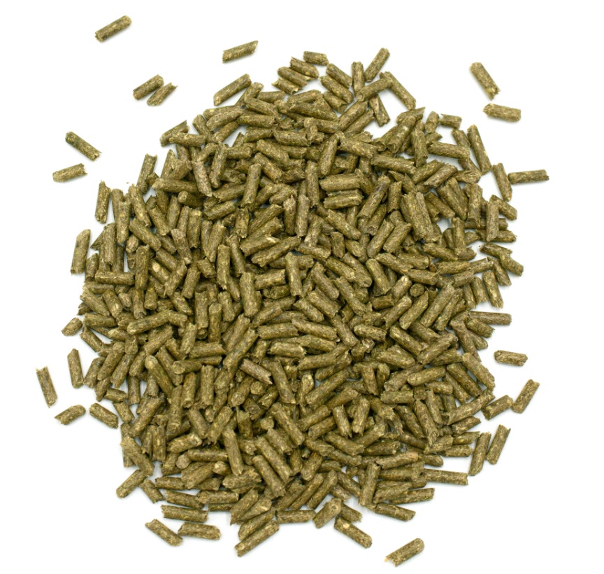 Oxbow Senior Rabbit Food 老兔糧 8磅 | 香港兔友協會 - 網上義賣商店