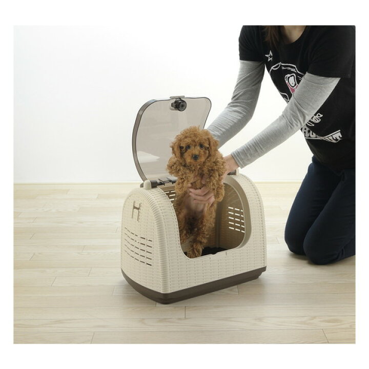 日本Richell 藤織手提寵物箱(米白) | 香港兔友協會 - 網上義賣商店